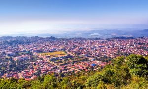 Shan State – Asia Blossom